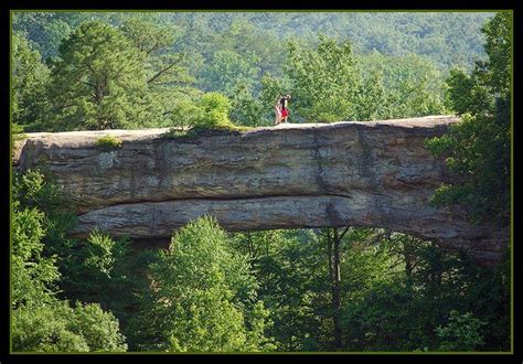 43 Best Red River Gorge Natural Bridge And Daniel Boone National