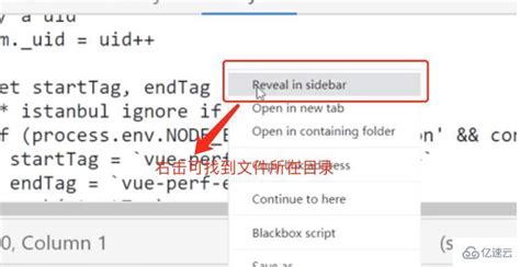 Vue能不能显示源码 Web开发 亿速云