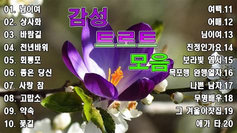 상큼한 트로트 메들리 트로트 신곡 메들리 Playlist Youtube