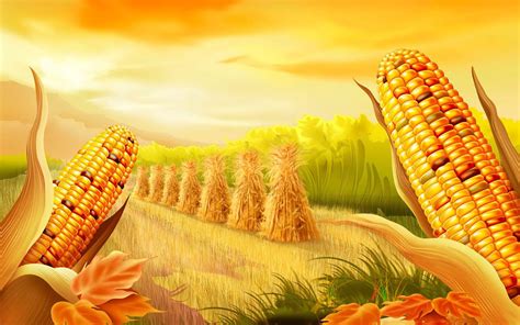 Corn Background