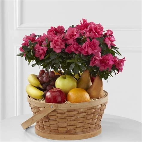 Е цветя Доставка на кошница с плодове и азалия в саксия