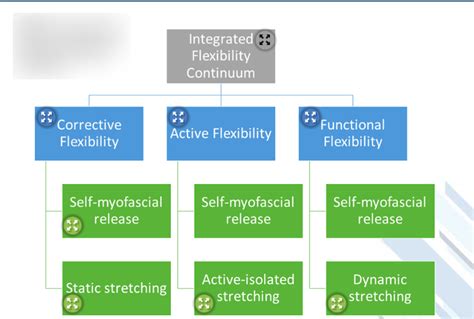 Integrative Flexibility Continuum Diagram Quizlet