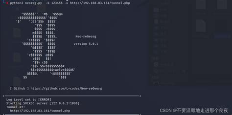 代理转发与隧道应用netsh Interface Portproxy Add V4tov4 Csdn博客