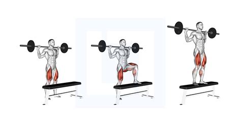 Standing Hamstring Stretch Guide Benefits And Form
