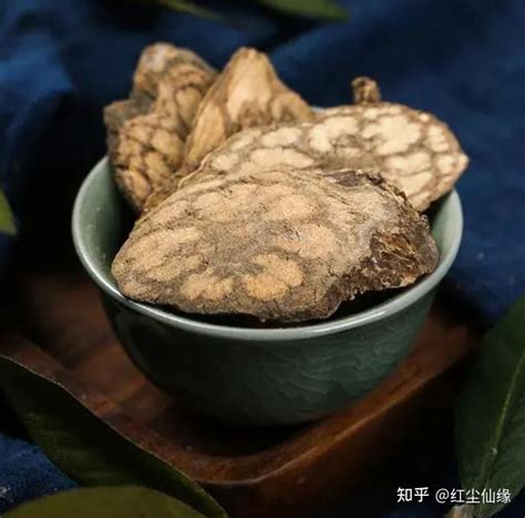 每天学一味中药丁公藤 知乎