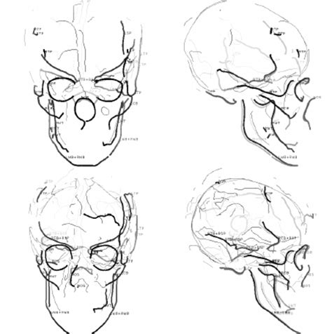 The Topological Graph Download Scientific Diagram
