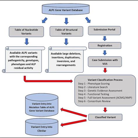 Acmgamp Criteria For Variant Classification Step 4 In Variant Download Scientific Diagram