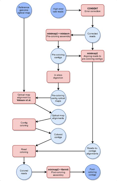 Opticalkermit Assembly Workflow Download Scientific Diagram