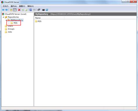 Visualsvn项目的导入检出更新删除visualsvn的检出在哪 Csdn博客
