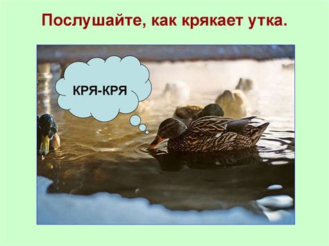 Как говорят животные Игра «Угадай кто презентация онлайн