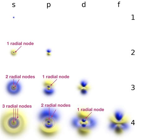011 Review Of Orbital Shapes Chemistry Libretexts 011 Review Of Orbital Shapes Chemistry Libretexts