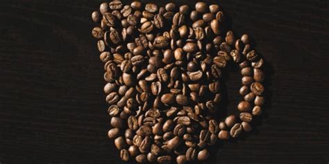 The Robusta Coffee Guide: Unraveling the Bold and Earthy Flavors of the ...