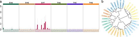 Mutational Signature Analysis A Barplots Showing One Mutation Signature Download Scientific