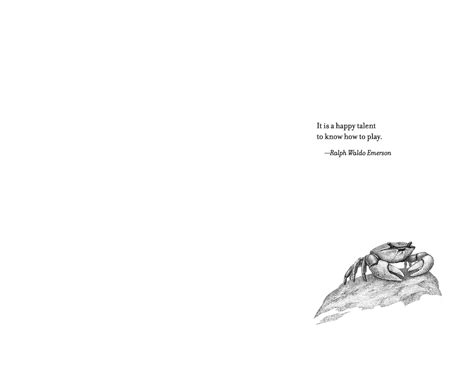 Odder By Katherine Applegate The New York Times Bestseller 9781801300780 Booktopia