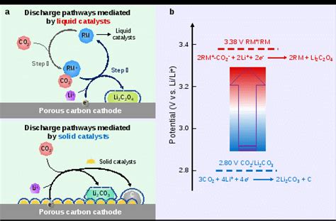 Binuclear Cu Complex Catalysis Enabling Li