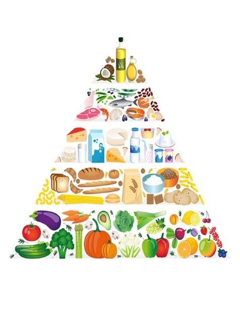 Piramide Alimenticia Pdf