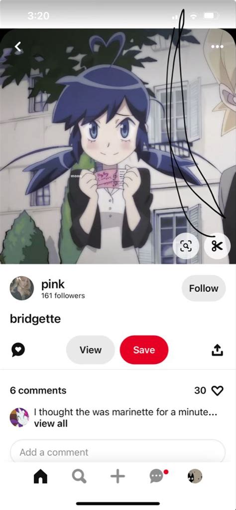 Bridgette Miraculous Ladybug Anime Marinette Anime Ladybug Anime