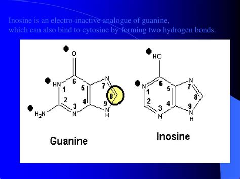 Ppt Electrochemical Dna Biosenors Powerpoint Presentation Free