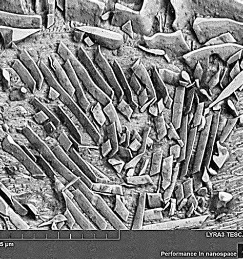 Microstructure Of Transition Zone Obtained By Sem Methods Download Scientific Diagram