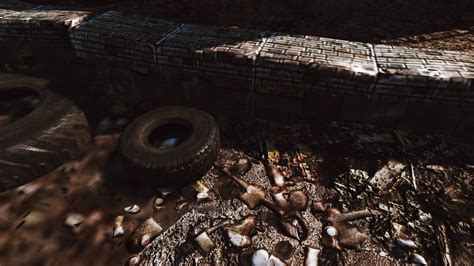 Low Res Texture Bug Fallout 4 Technical Support Loverslab