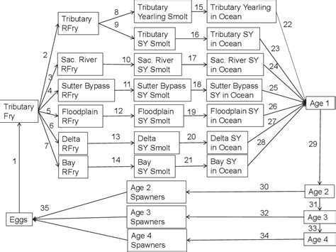 Figure 4 From Using Life Cycle Models To Identify Monitoring Gaps For Central Valley Spring Run