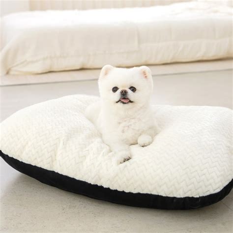 행복특가 레토 대형 강아지 방석 쿠션 고양이 무중력 애견방석 Ldc R03 페오펫몰