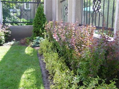 Малък частен двор в Красна поляна за 3 дни Дъх на Градина Вътрешно и външно Озеленяване