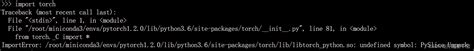 ImportError Root Miniconda Envs Pytorch Lib Python Site Packages Torch Lib Libtorch
