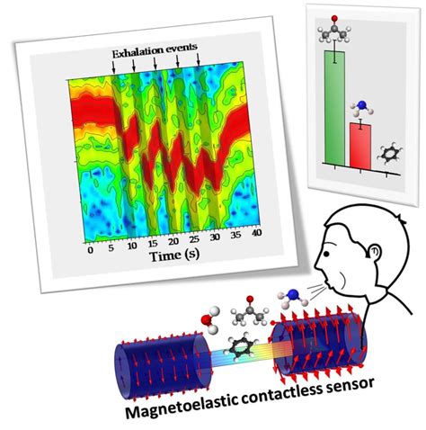 Biosensors Mdpi On Linkedin Article Mdpi Biomarker Breath Gas Biosensors Sensors