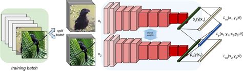 Figure 1 From Improving Fine Grained Visual Classification Using Pairwise Confusion Semantic