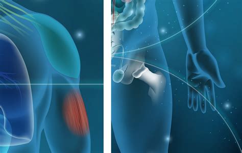 [infographic] Human Body Morphogenetic Fields Behance