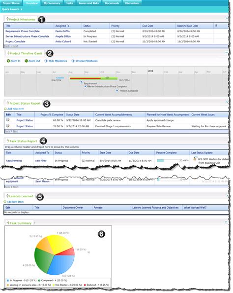 PM Central Project Overview Tab Bamboo Solutions