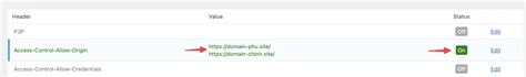 How To Fix The Blocked By CORS Policy Error On WordPress