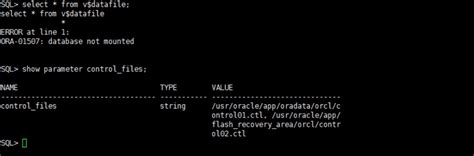 Oracle日常运维操作总结 数据库的启动和关闭 腾讯云开发者社区 腾讯云