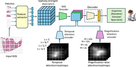 Figure 1 From Decoding The Visual Attention Of Pathologists To Reveal