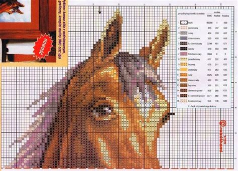 Ponto Cruz Cavalo