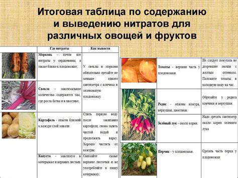 Нитраты способы снижения содержания нитратов в овощах и фруктах 3 класс презентация онлайн
