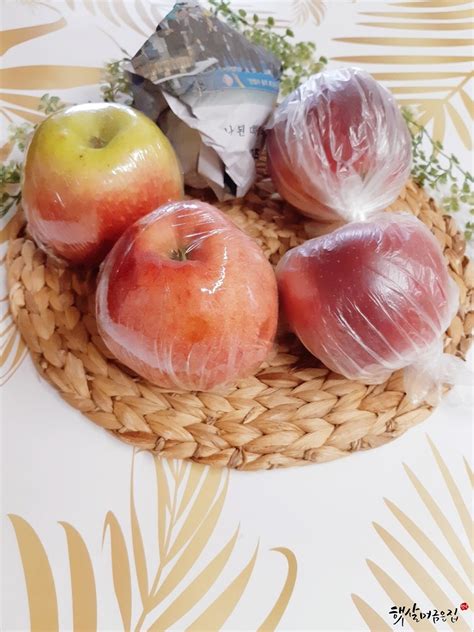사과 세척법과 3가지 사과보관법