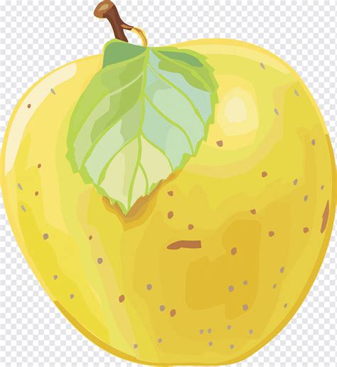 노란 배 그래픽 Png Pngwing