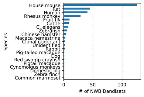 DANDI NWB Data Statistics NWB Overview Documentation