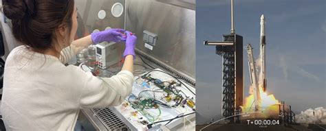 바이오기업 시드헬스가 ‘플라스틱 분해 미생물을 우주로 쏘아올린 까닭은 그리니엄