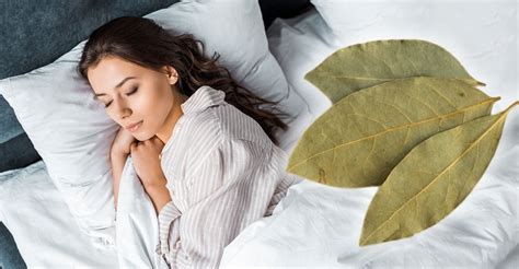 უძილობას წამლების გარეშე მოიშორებთ თუ ღამით დაფნის ფოთოლს ბალიშის ქვეშ შეინახავთ რჩევები