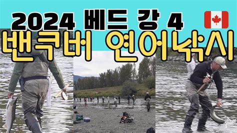 밴쿠버 연어낚시 코호 밴쿠버 근교 칠리웍에 소재한 베드강에서 연어 낚시 모습과 주변 풍경여러 연어종류중 코호 연어낚시 Youtube