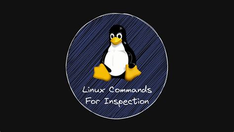 Basic Linux Commands For Inspection By Tepes Alexandru Medium