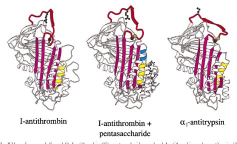 Heparin Binding Semantic Scholar