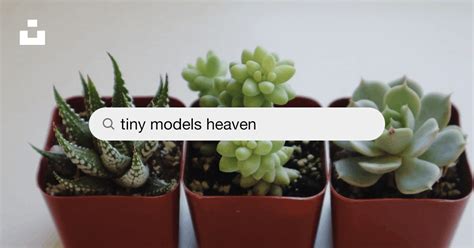 Tiny Models Heaven Pictures Download Free Images On Unsplash