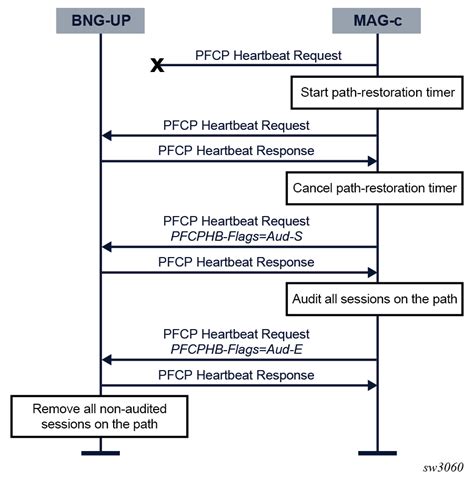 Pfcp Protocol