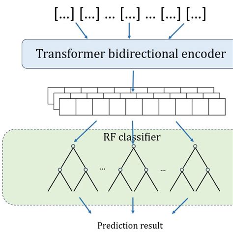 Architecture Of Transformer Bidirectional Encodersupport Vector