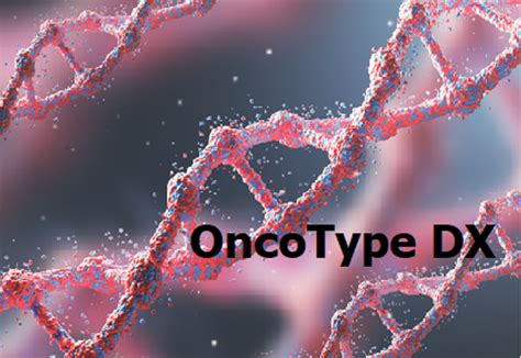 What Is The Oncotype Dx Test