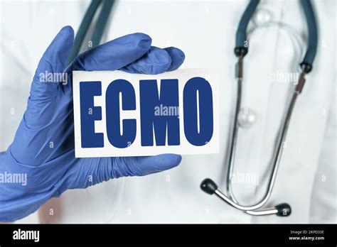 Medicine Concept The Doctor Holds A Business Card That Says Ecmo